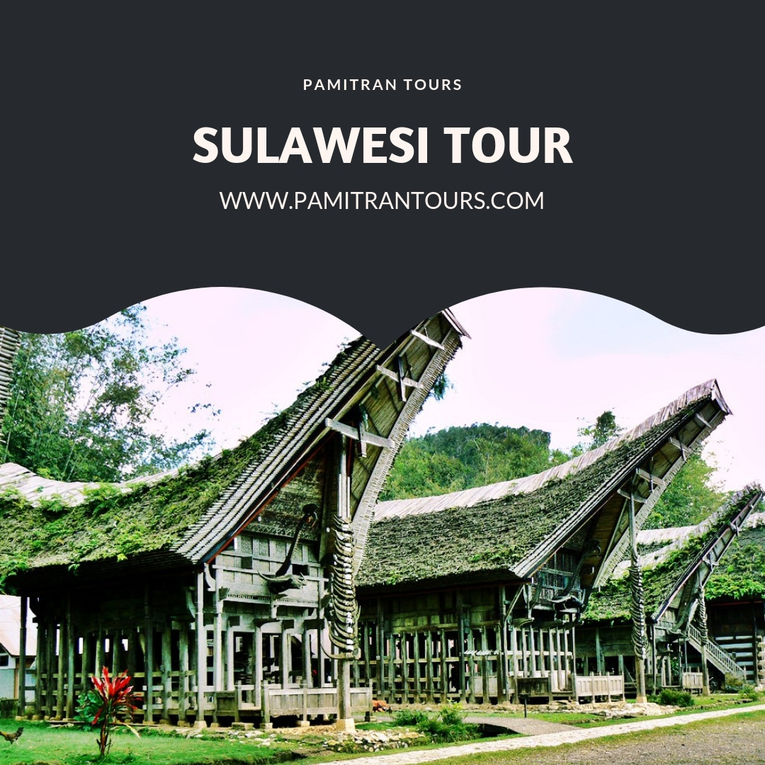 Sulawesi Tour Package | Sulawesi Tour Service | OverlandSulawesi